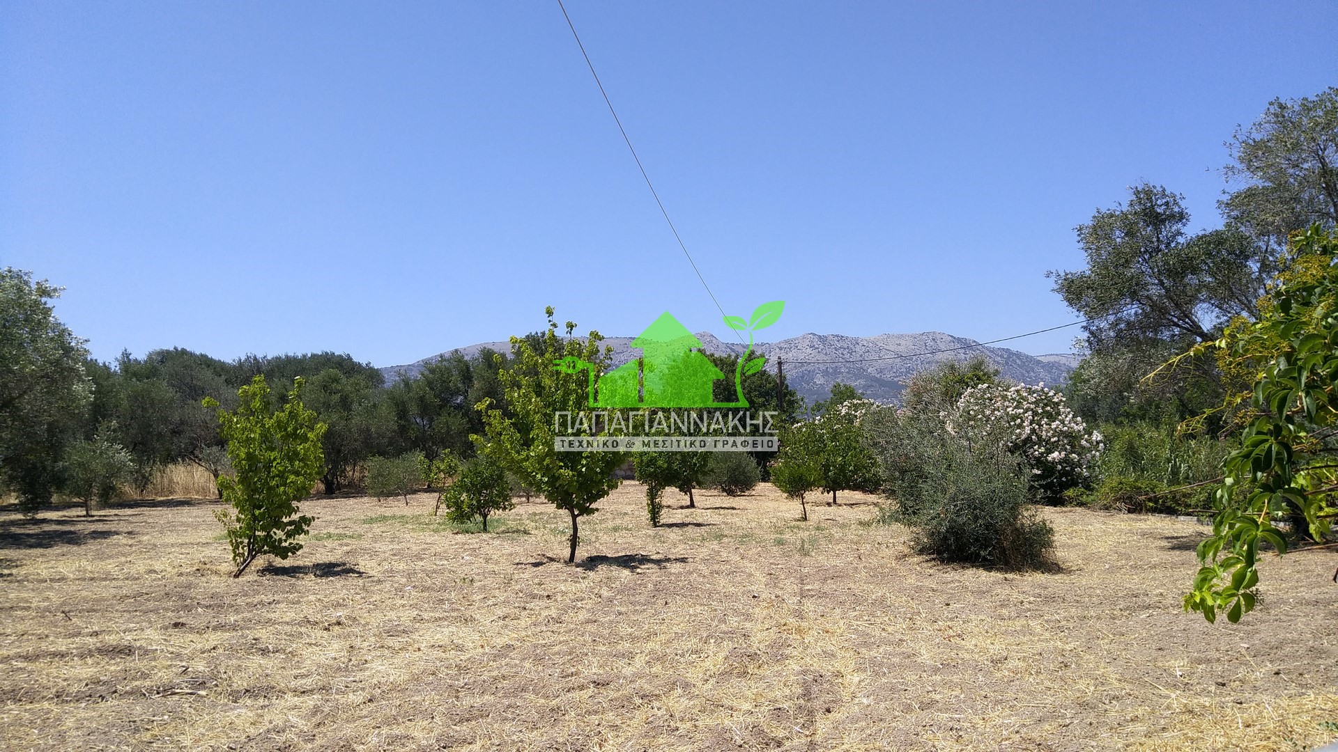 ΟΙΚΟΠΕΔΟ 1483 Τ.Μ., ΑΓΙΑ ΕΙΡΗΝΗ ΚΑΜΠΟΥ | Τεχνικό Μεσιτικό Γραφείο ...